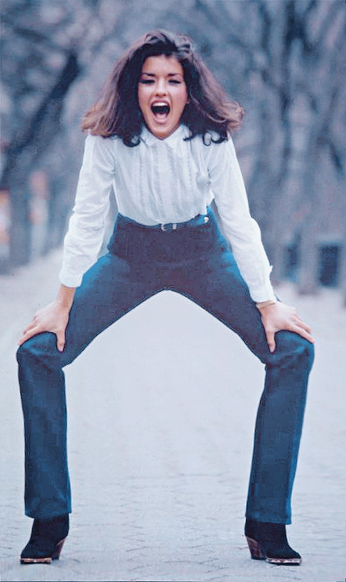 Picture of Janice Dickinson