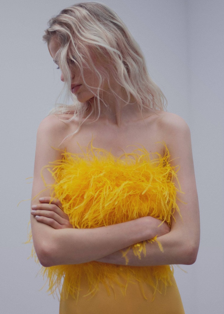 Felice Noordhoff picture