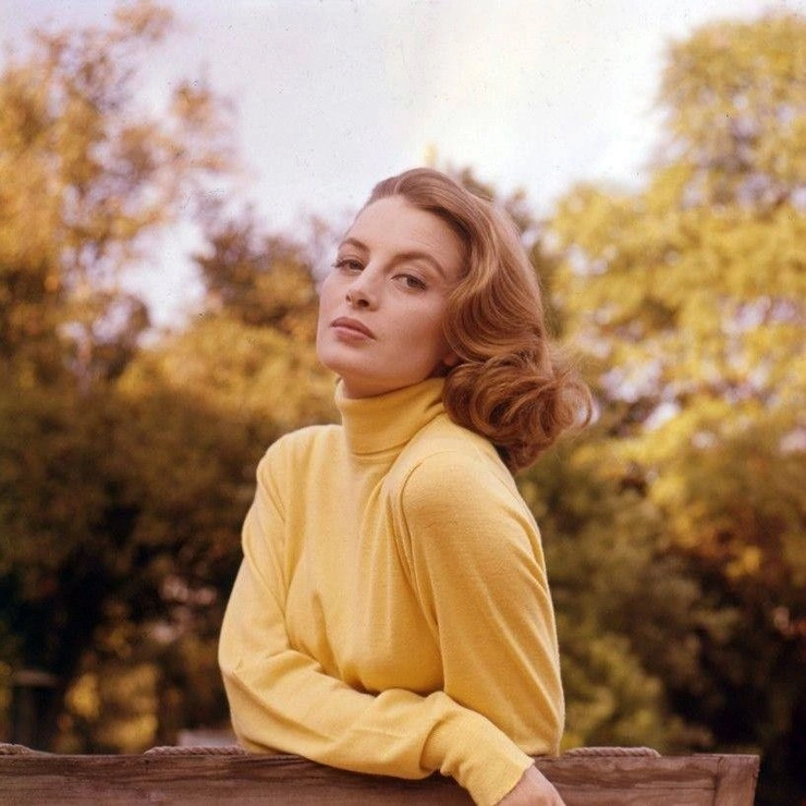 Picture of Capucine