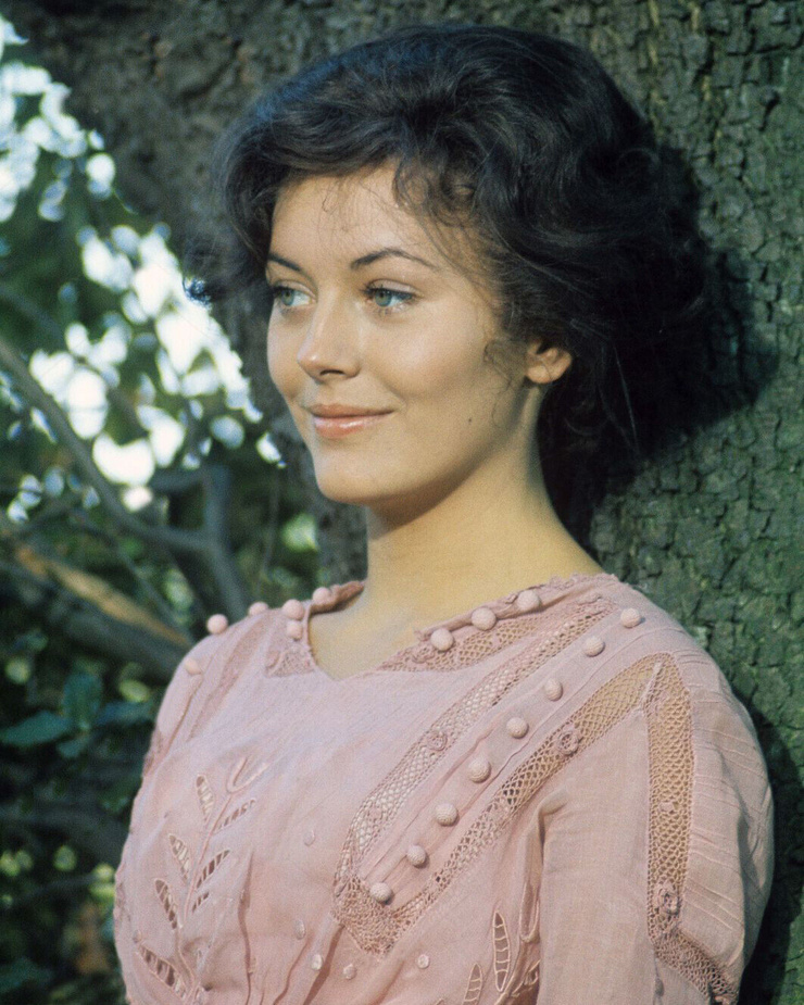 Lesley-Anne Down