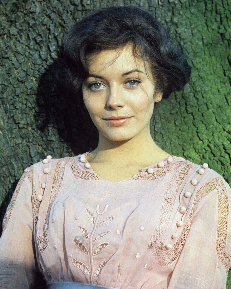 Lesley-Anne Down