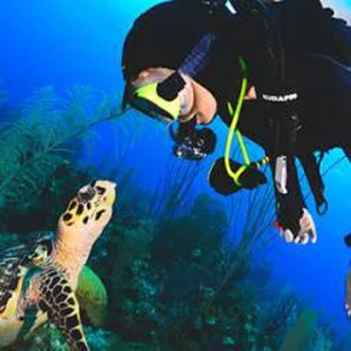 Scuba Guru - Diving Certification and Classes