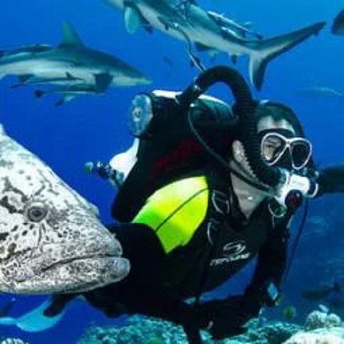 Scuba Guru - Diving Certification and Classes
