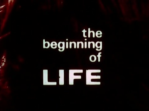 Picture of The Beginning of Life