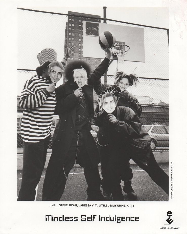 Picture of Mindless Self Indulgence