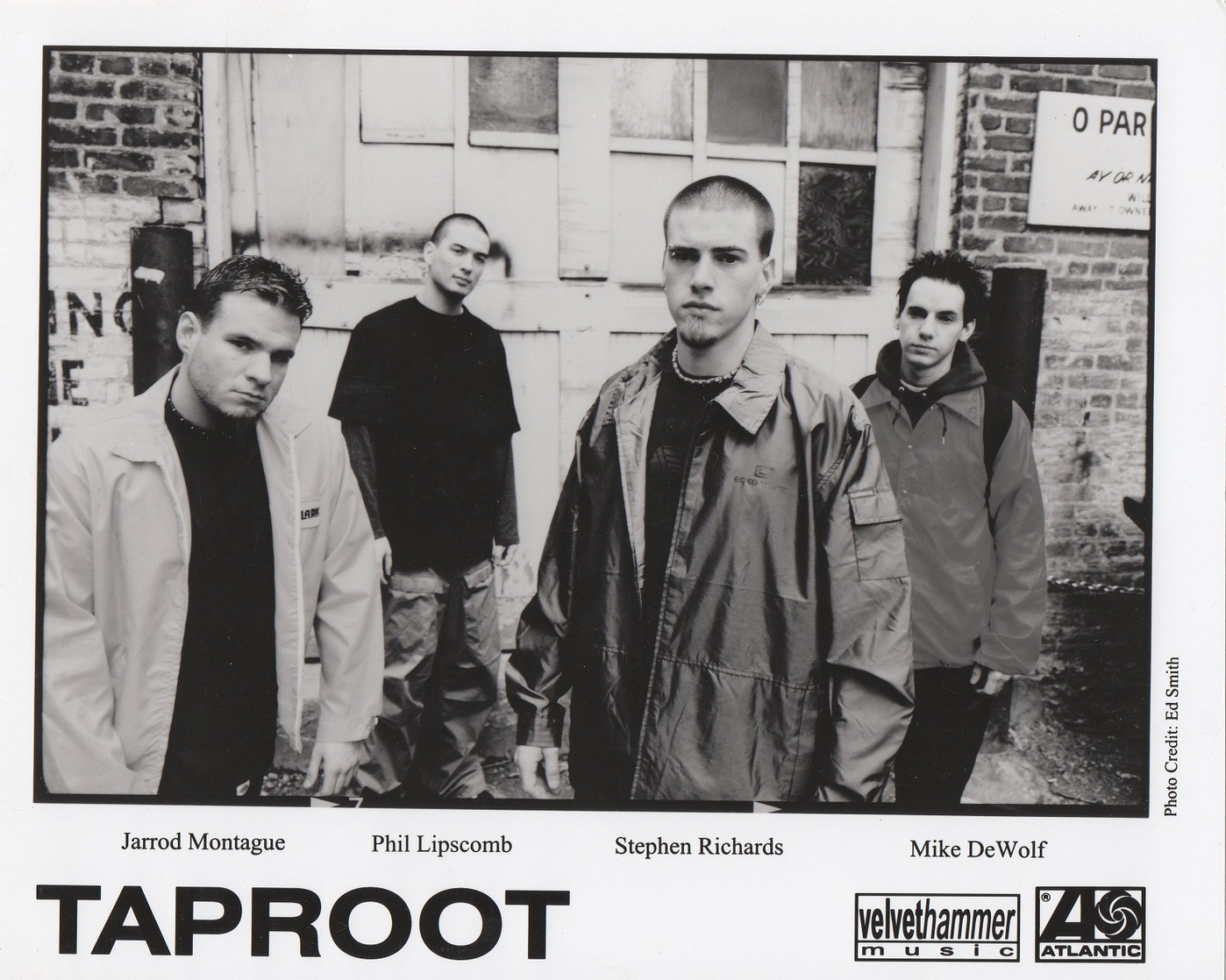 Picture of Taproot