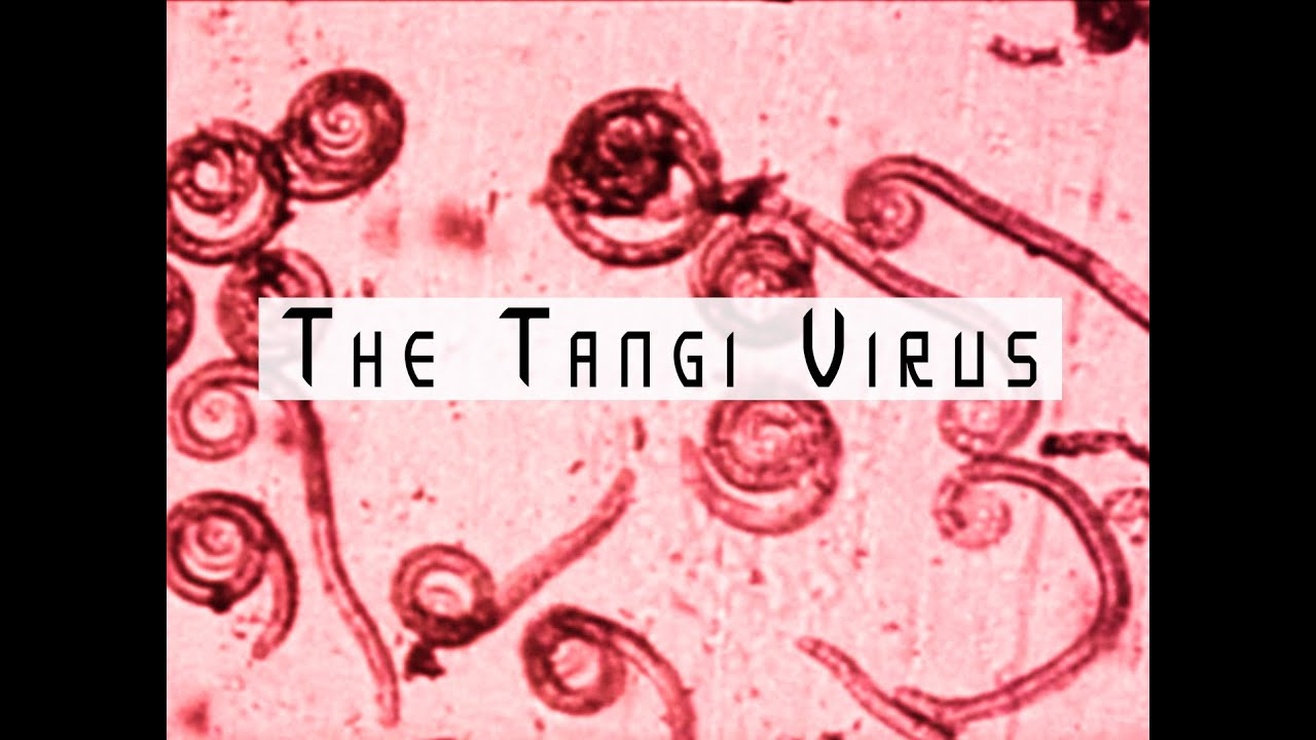 The Tangi Virus