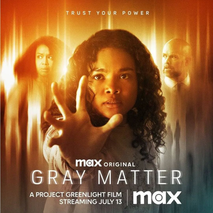 Picture of Gray Matter