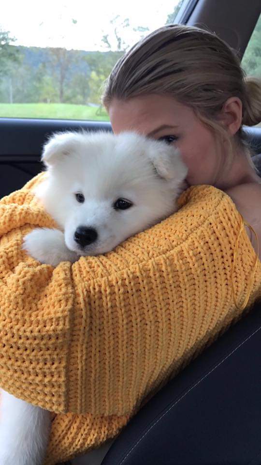 Picture of Kaitlyn Lea Hall