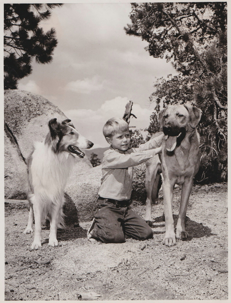 Lassie, Jon Provost