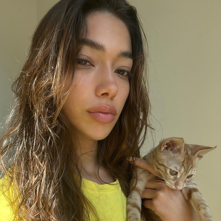 Picture of Stella Maya Epifani
