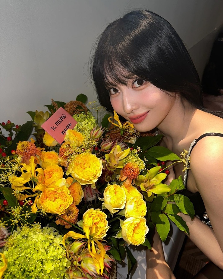 Hirai Momo Picture