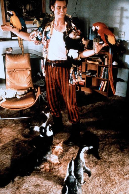 Picture of Ace Ventura: Pet Detective