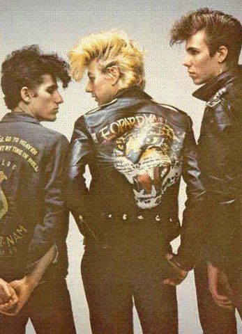 Picture of Stray Cats