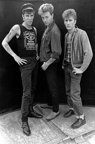 Picture of Stray Cats