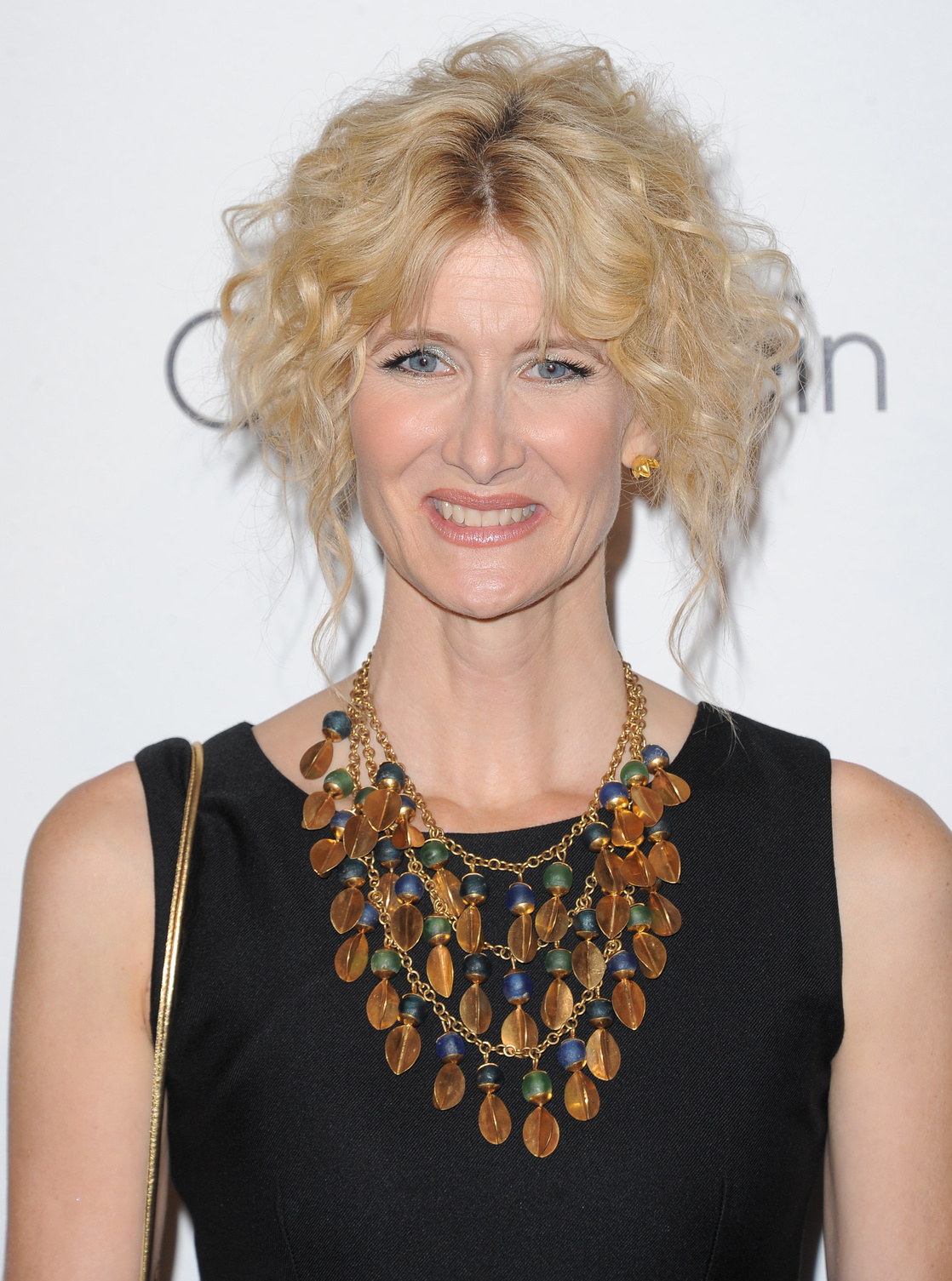 Picture of Laura Dern