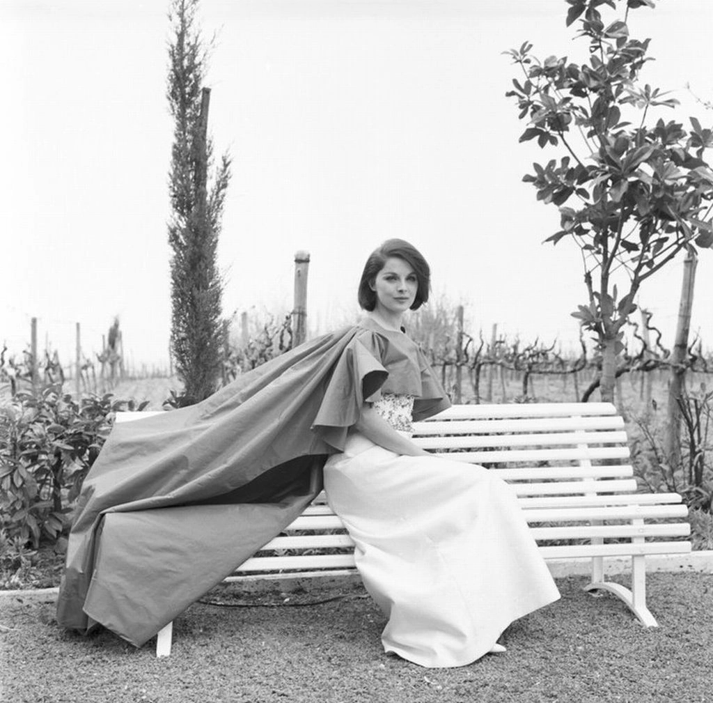 Picture of Virna Lisi