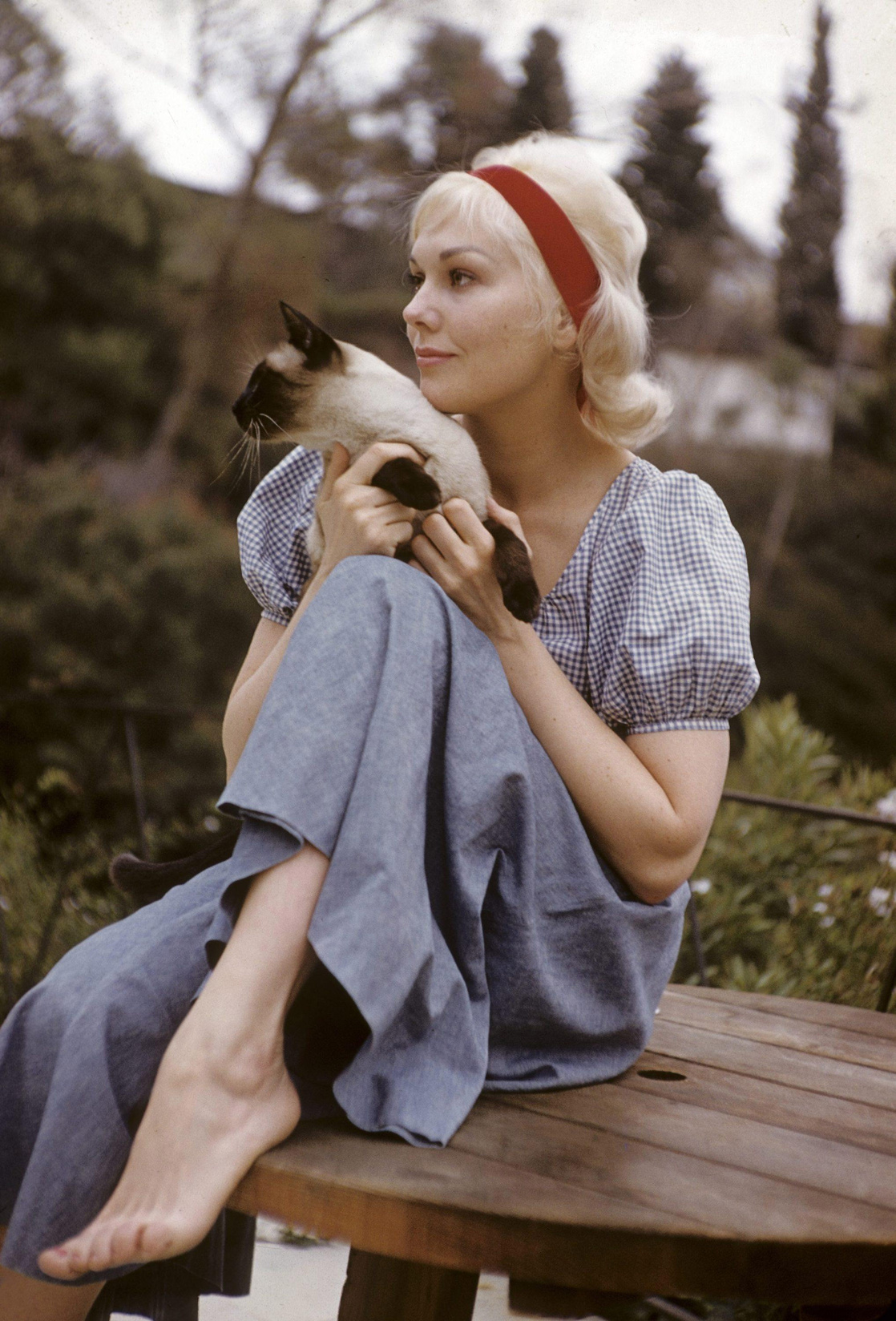 Picture of Kim Novak