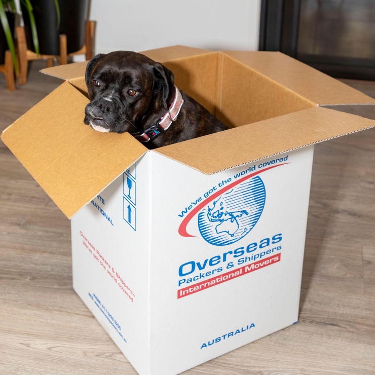 International Removalists - Overseas Packers and S