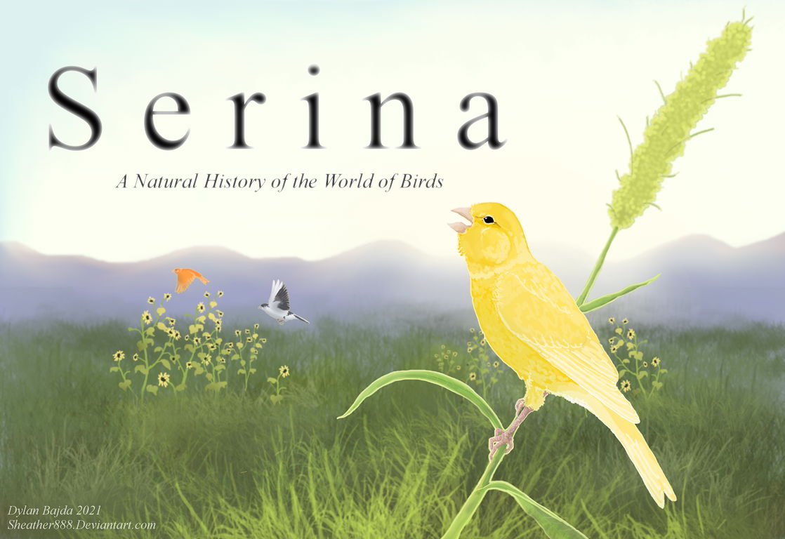 serina world of birds