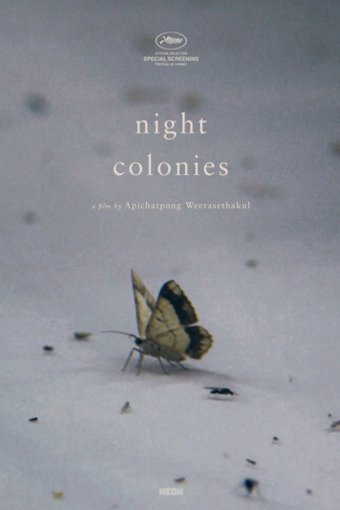 Picture of Night Colonies