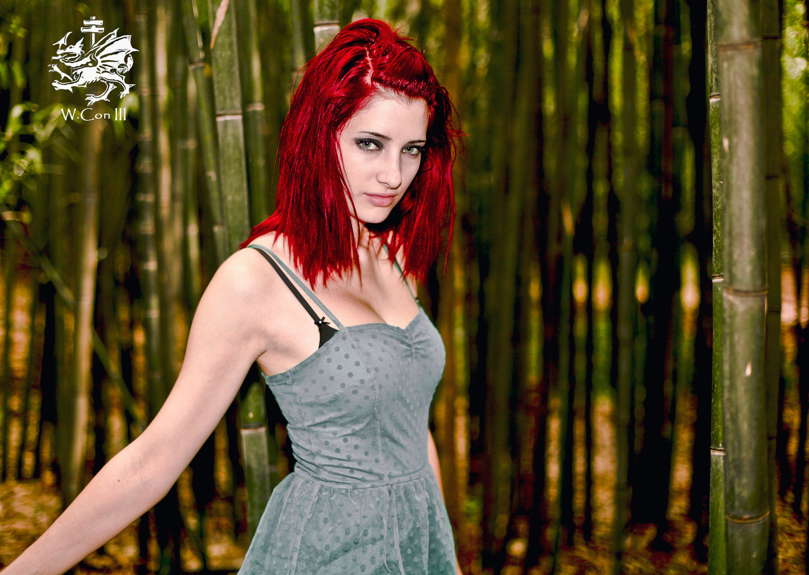 Picture of Susan Coffey