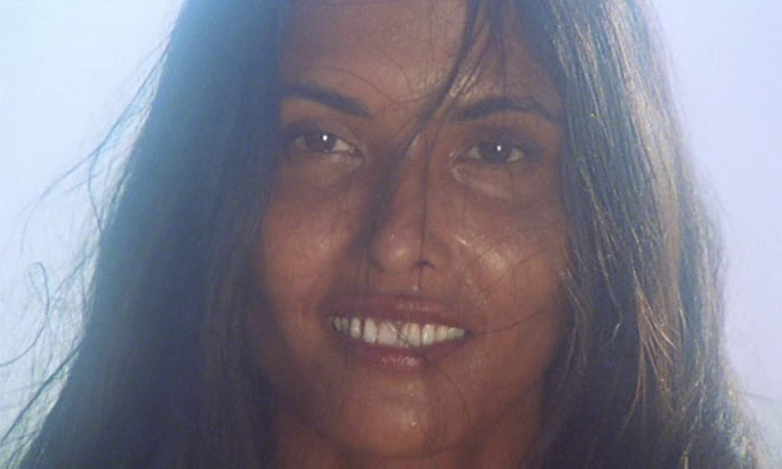 Picture of Private Collections (1979)