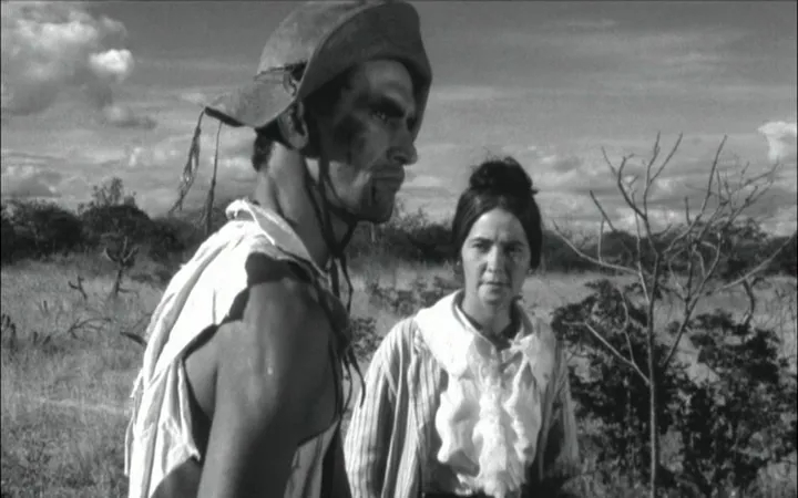 Picture of Mandacaru Vermelho