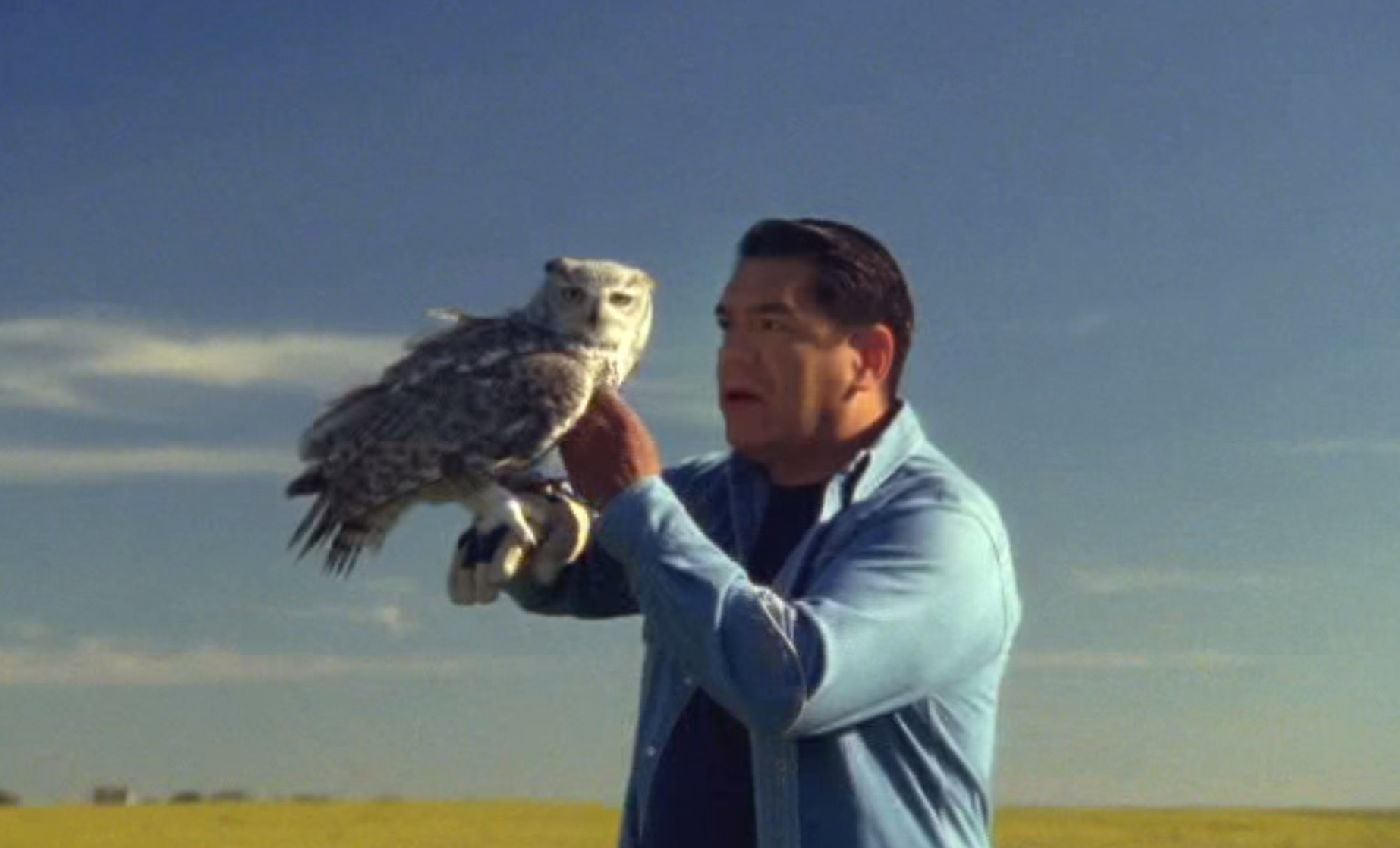 Davis Quinton picture