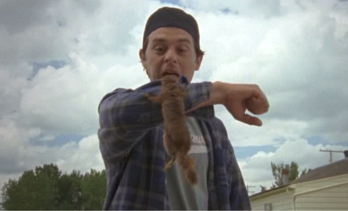 Picture of Corner Gas