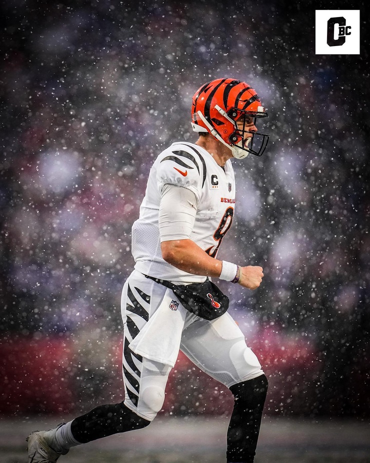 Picture of Joe Burrow