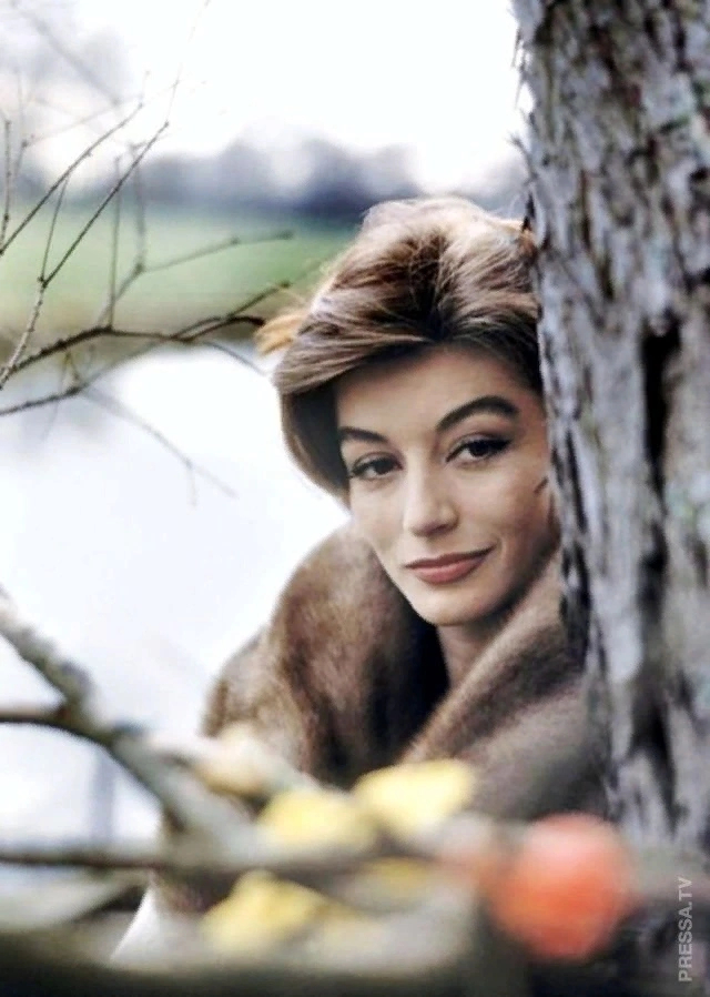 Anouk Aimée picture
