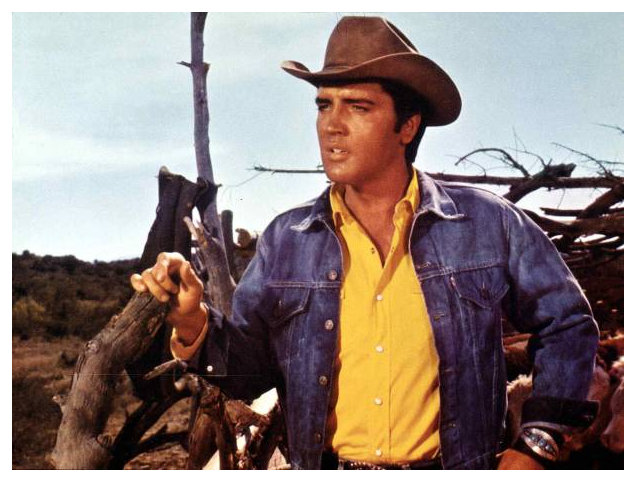 Stay Away, Joe (1968)