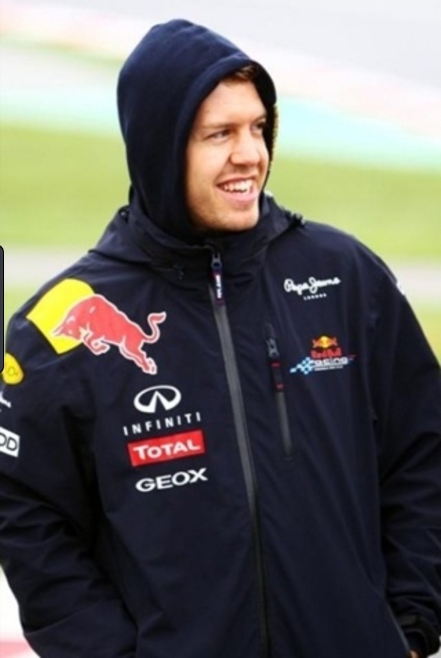 Picture of Sebastian Vettel