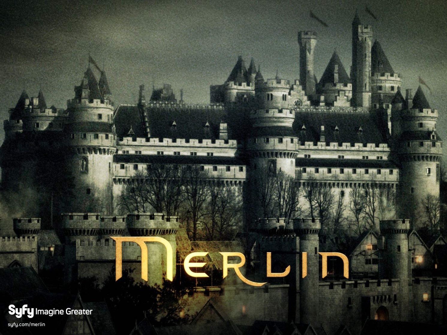 Picture of Merlin