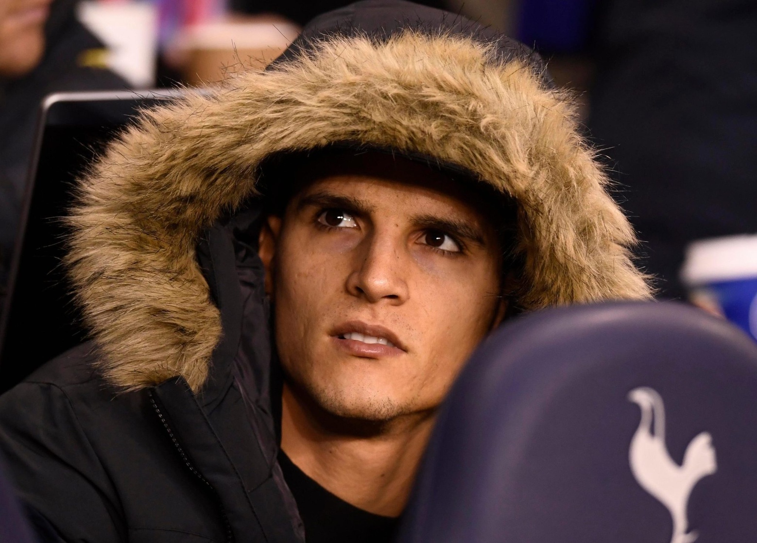 Erik Lamela image