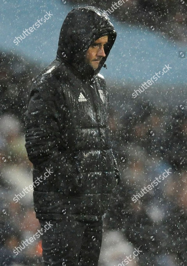 Marco Silva image