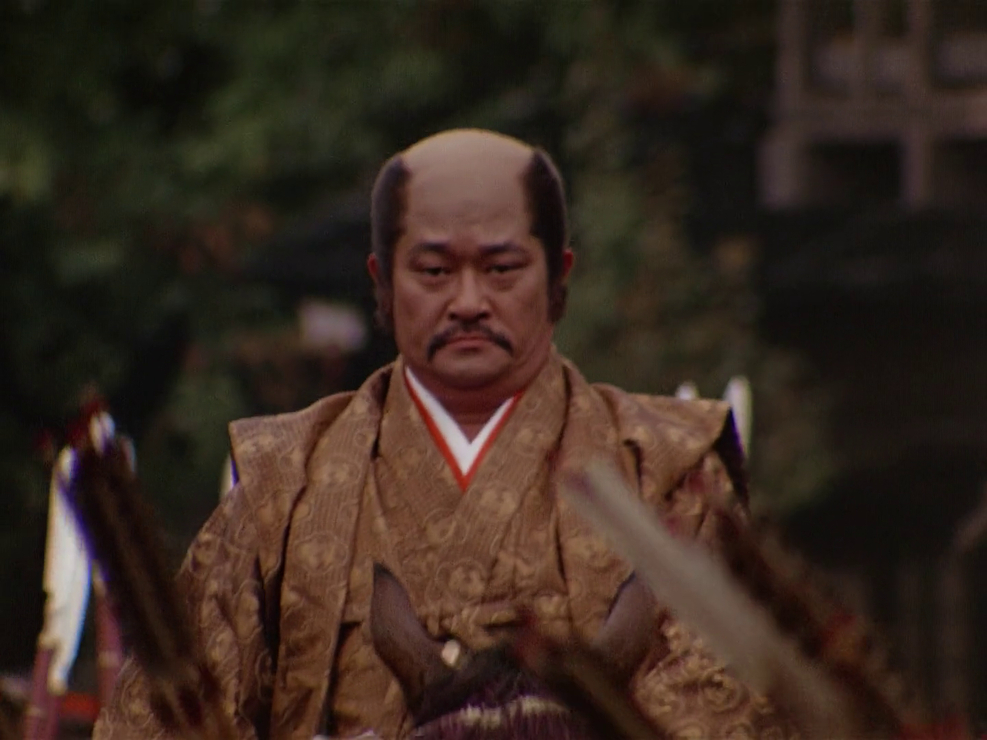Picture of Shogun