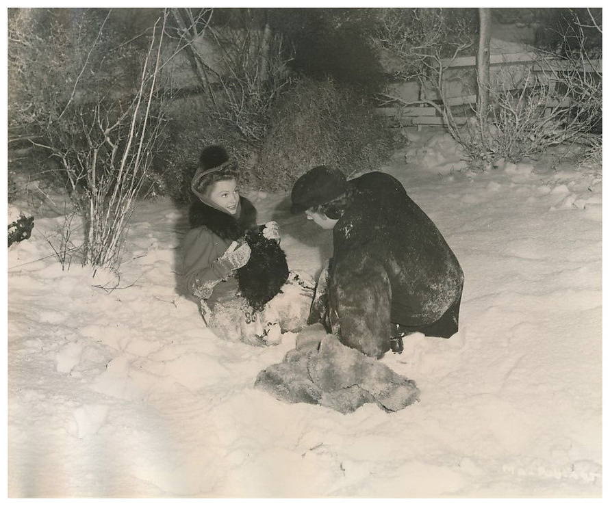 Picture of The Magnificent Ambersons