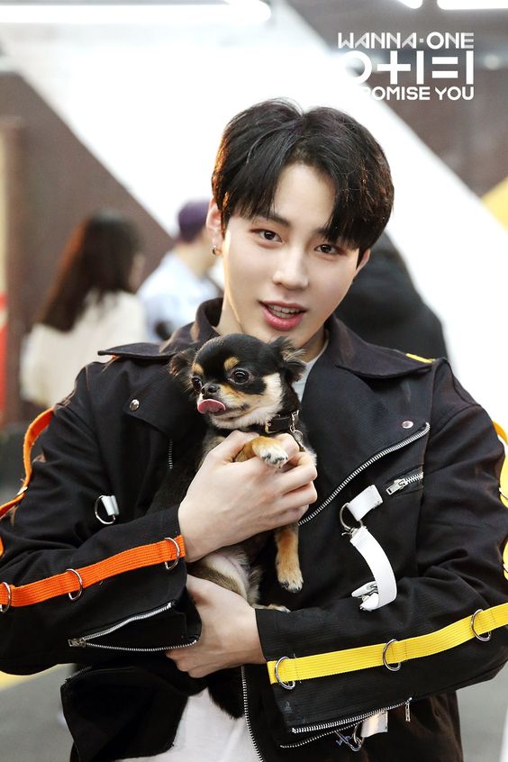 Picture of Sung-Woon Ha