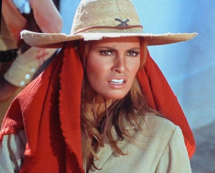Picture of Raquel Welch
