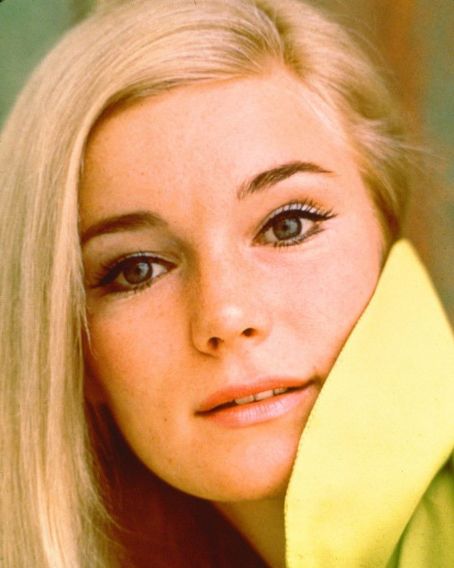 Picture of Yvette Mimieux