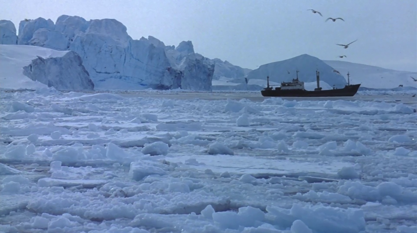 Picture of Smilla's Sense of Snow