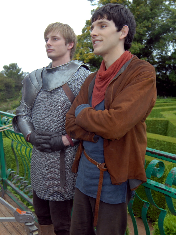 Picture of Merlin