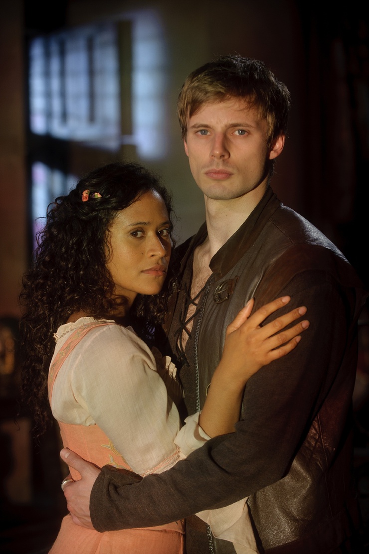 Picture of Merlin