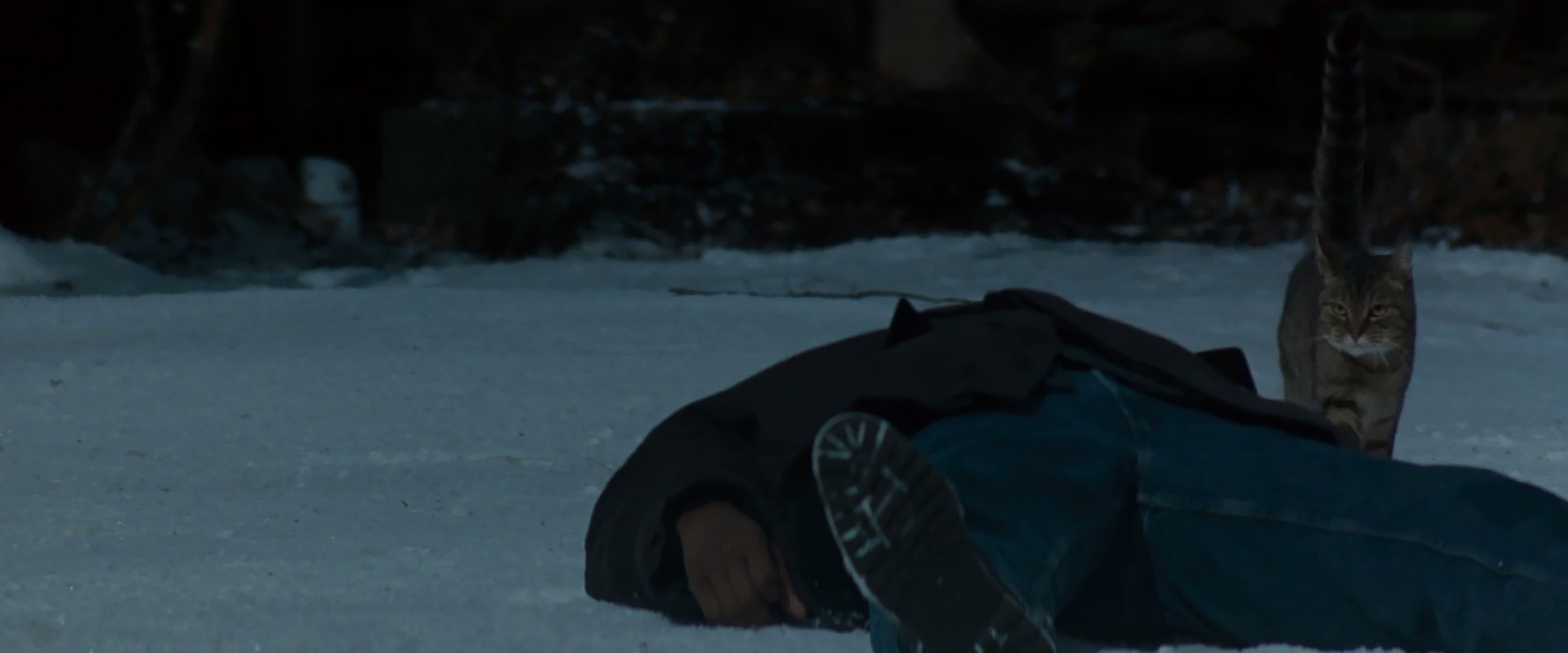 Fallen picture