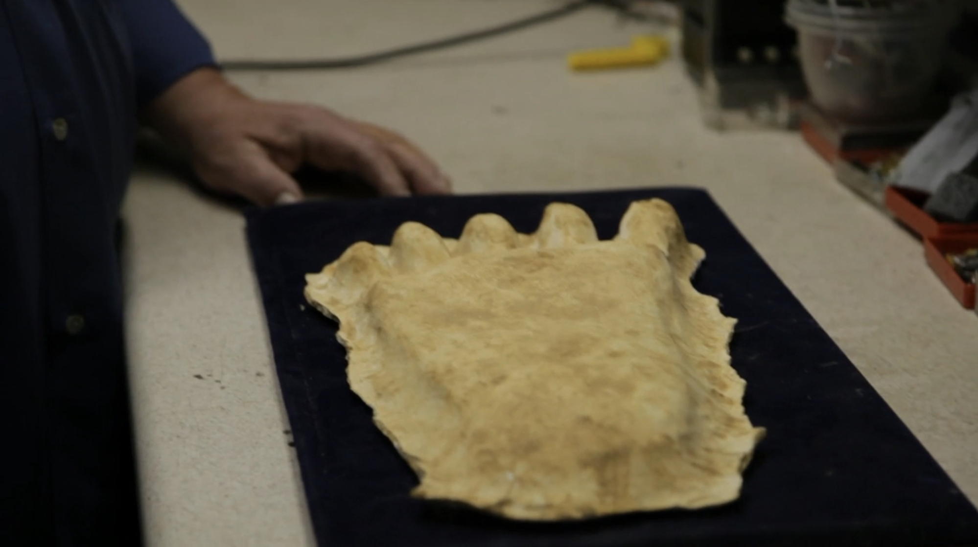 Picture of Hunting the Legend