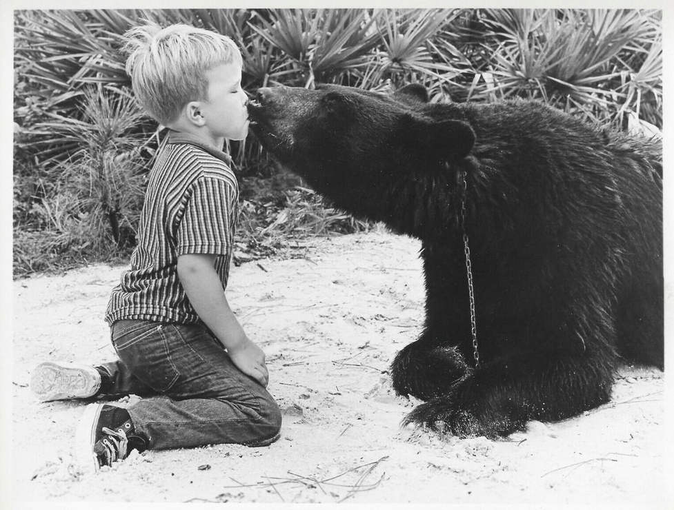 Clint Howard, Bruno the Bear