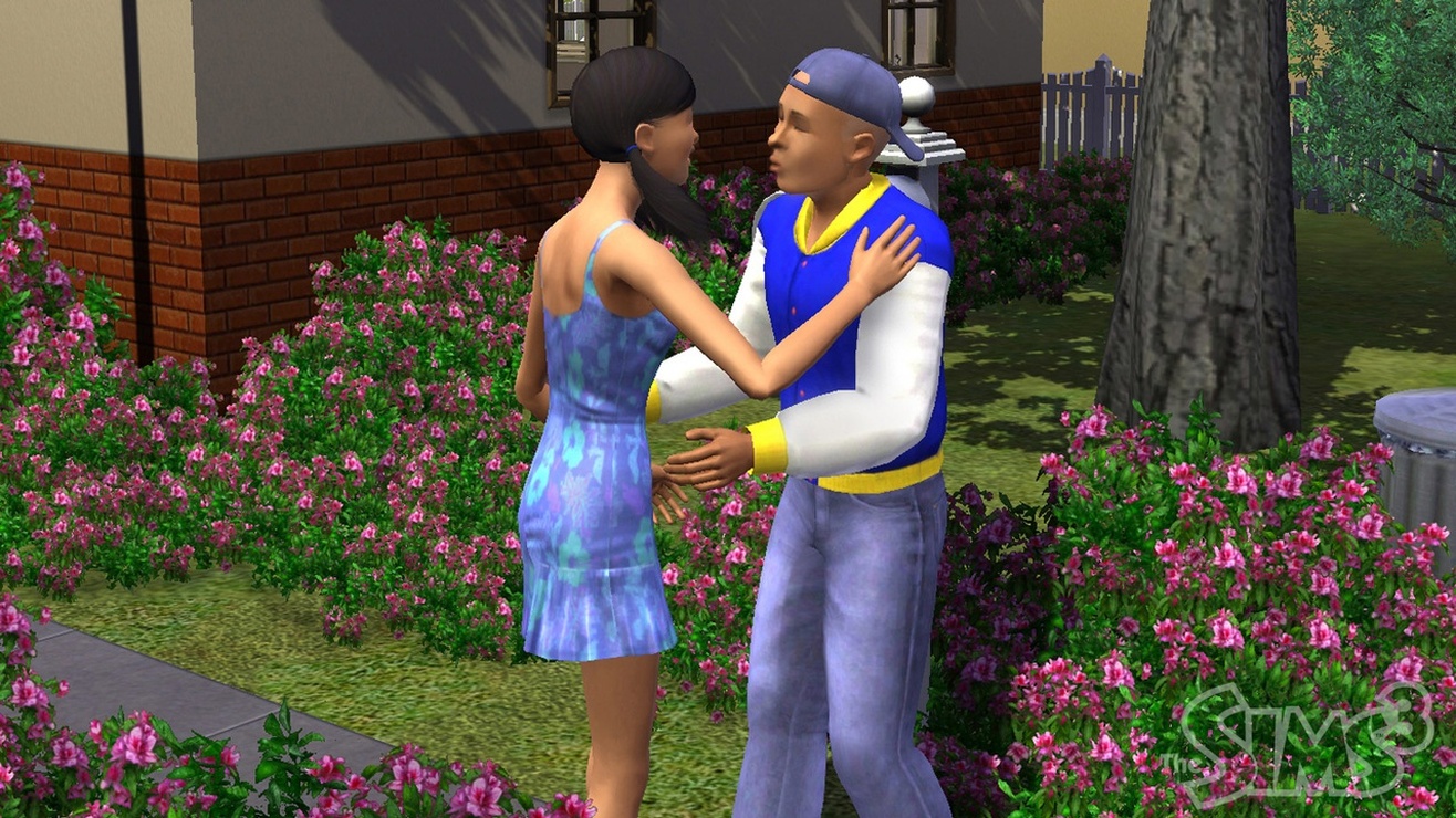 Picture of The Sims 3