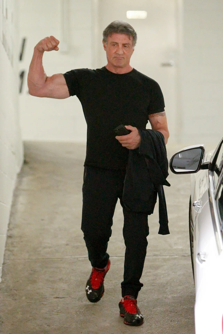 Picture of Sylvester Stallone